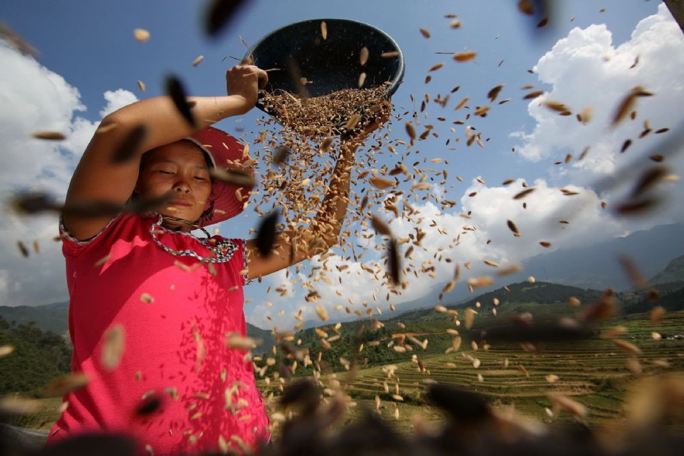 To See the World in a Grain of Rice - Photographs by Luca Bracali ...