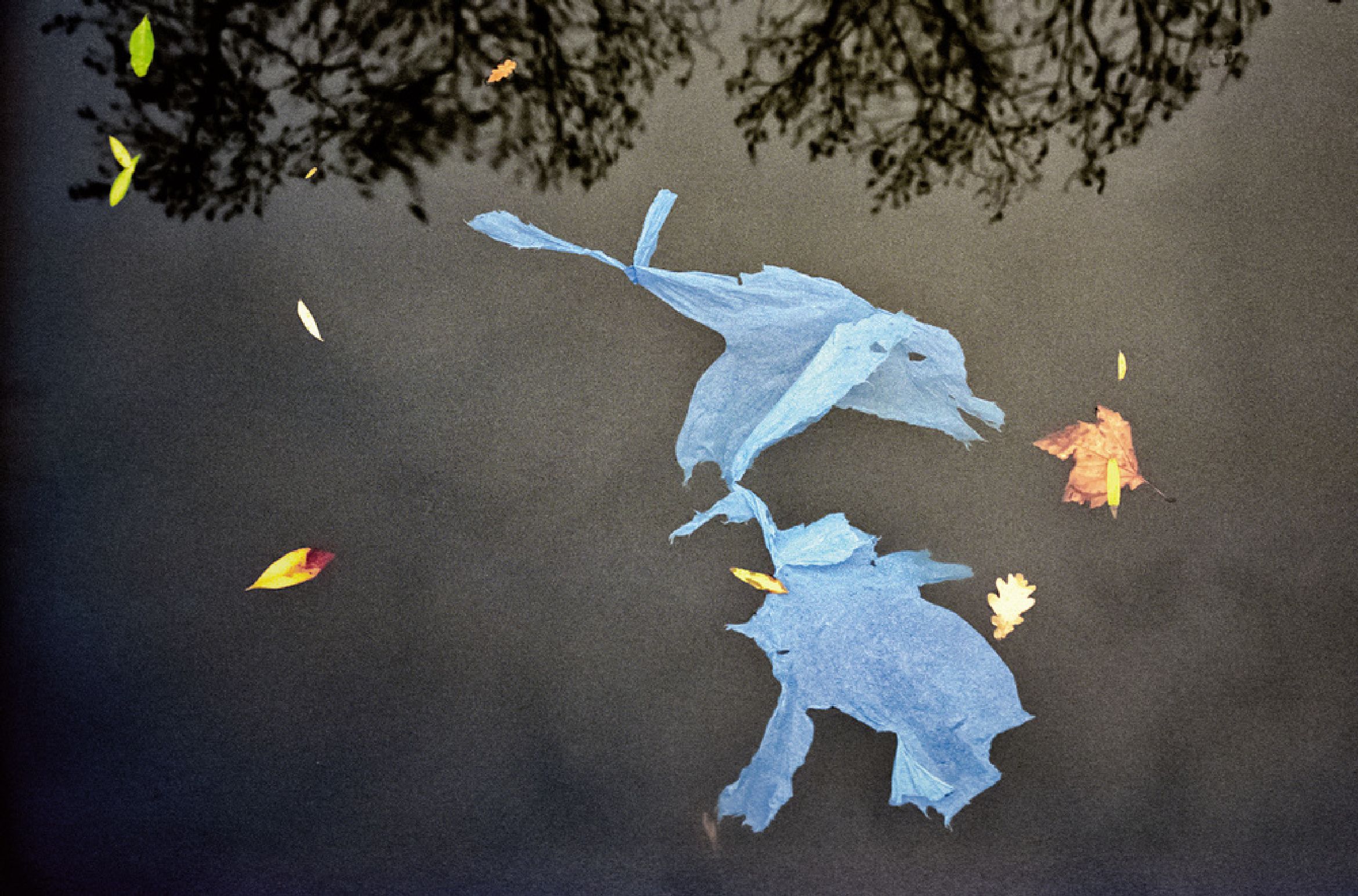 In Search of Brilliant Moments: Street Photography’s Heightened ...