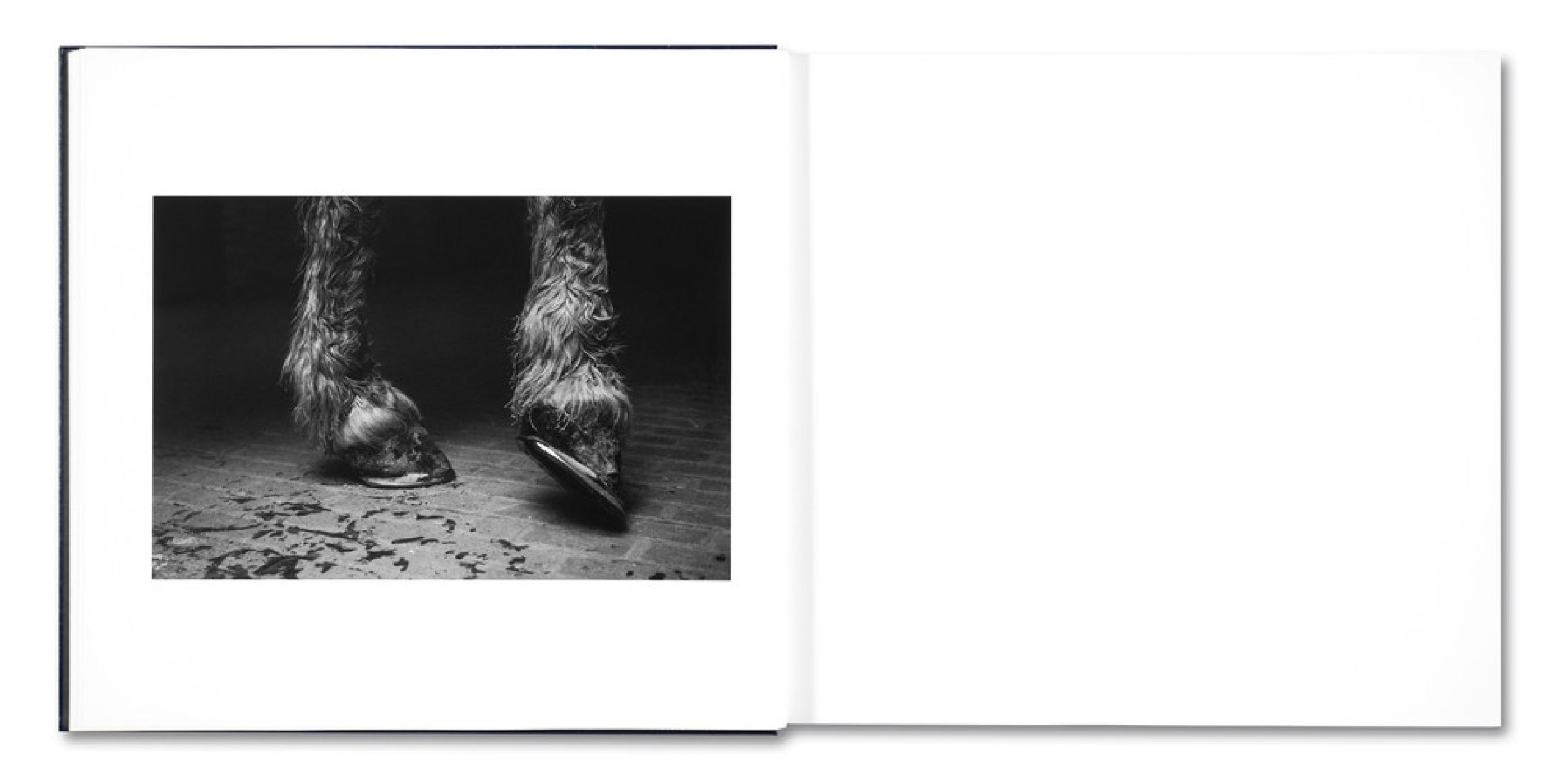 Some Say Ice - Photographs by Alessandra Sanguinetti | Essay by Sophie ...