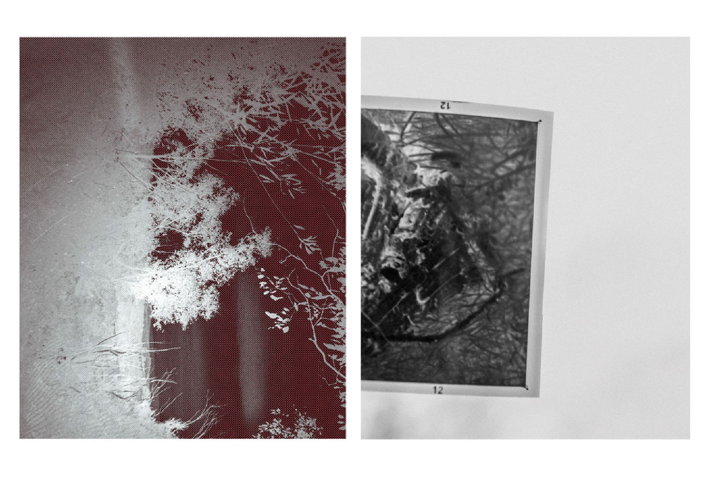 And then you were gone - Photographs by Arrayah Loynd | Essay by Magali ...