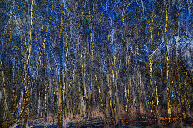 Jan Beesley | LensCulture