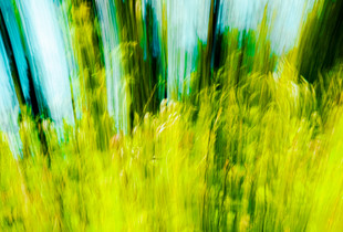 Joseph Shimek - Untitled | LensCulture