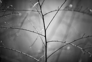 Eric McCollum | LensCulture