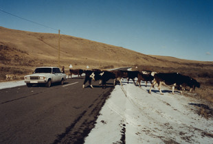 Alex Nazari - LADA | LensCulture