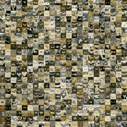 Greg Sand | LensCulture