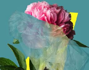 Ernst Haas: Color Correction - Photographs by Ernst Haas | LensCulture