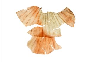 Cécile Champy | LensCulture