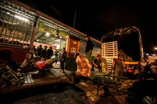 Mauricio Salinas Rozo - La Samper Mendoza | LensCulture