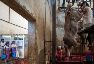 David Taffet - Untitled | LensCulture