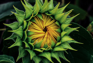 Mike Cable | LensCulture