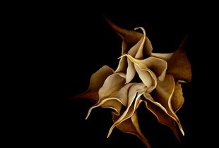 Doris Mitsch - Dark | LensCulture