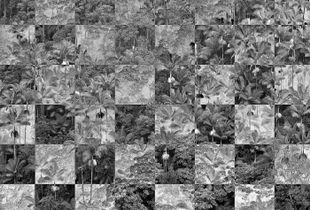 Karen Strom - Assembled Images | LensCulture