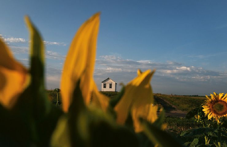 LensCulture - Contemporary Photography