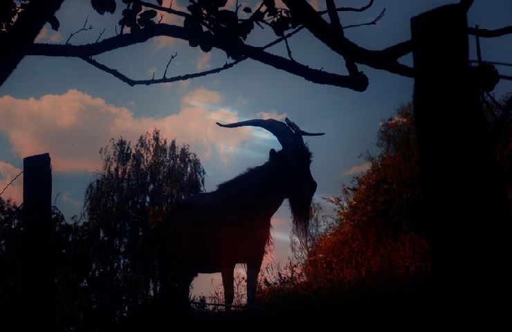 LensCulture - Contemporary Photography