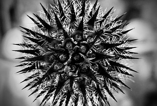 Betty Wagner - Untitled | LensCulture