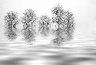 Giovanni Renna - Apocalypse is Revelation | LensCulture