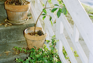 James Mach - LA | LensCulture