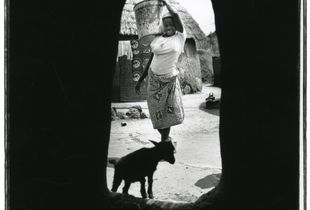 Billy Howard | LensCulture