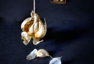 Alan Dedman | LensCulture