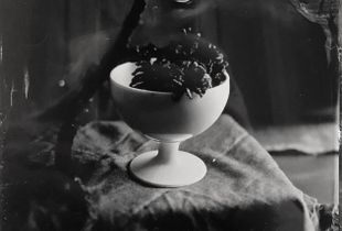 Laura Cofrin - Wetplate Collodion | LensCulture