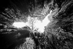 Stuart Rome | LensCulture