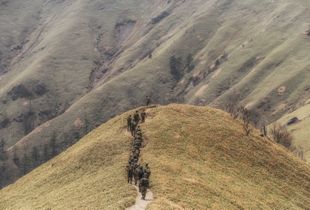 Sean Brecht - Untitled | LensCulture