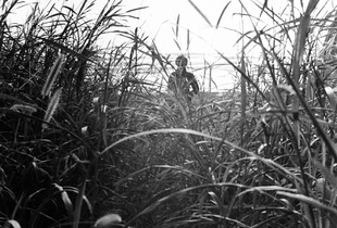 Huiping Chen - Street Photography Awards 2015 | LensCulture