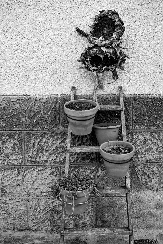 Trisha Gordon - Images from the Village of Morella, Spain | LensCulture