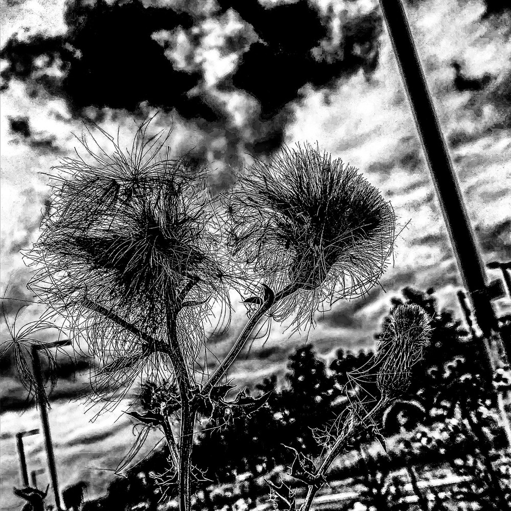 Hugh Walker - Untitled | LensCulture