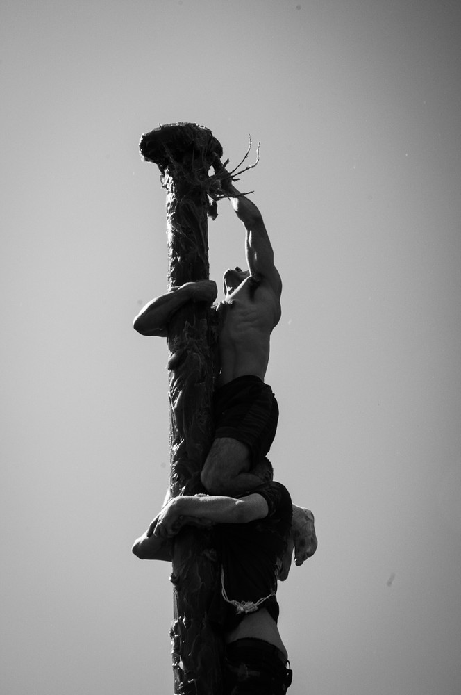 David Dickie - Half Century of New | LensCulture