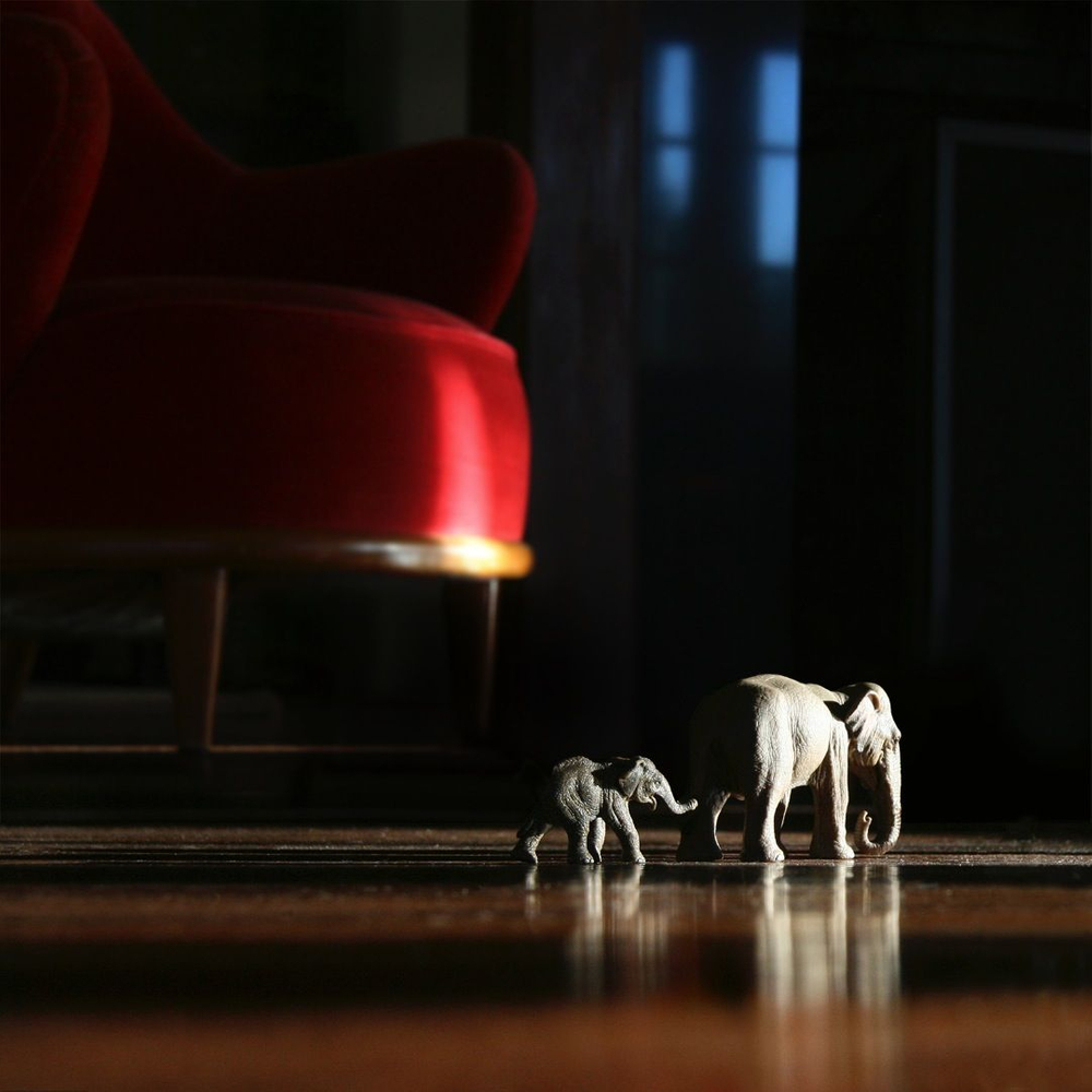 Doris Mitsch - Domestic Animals | LensCulture