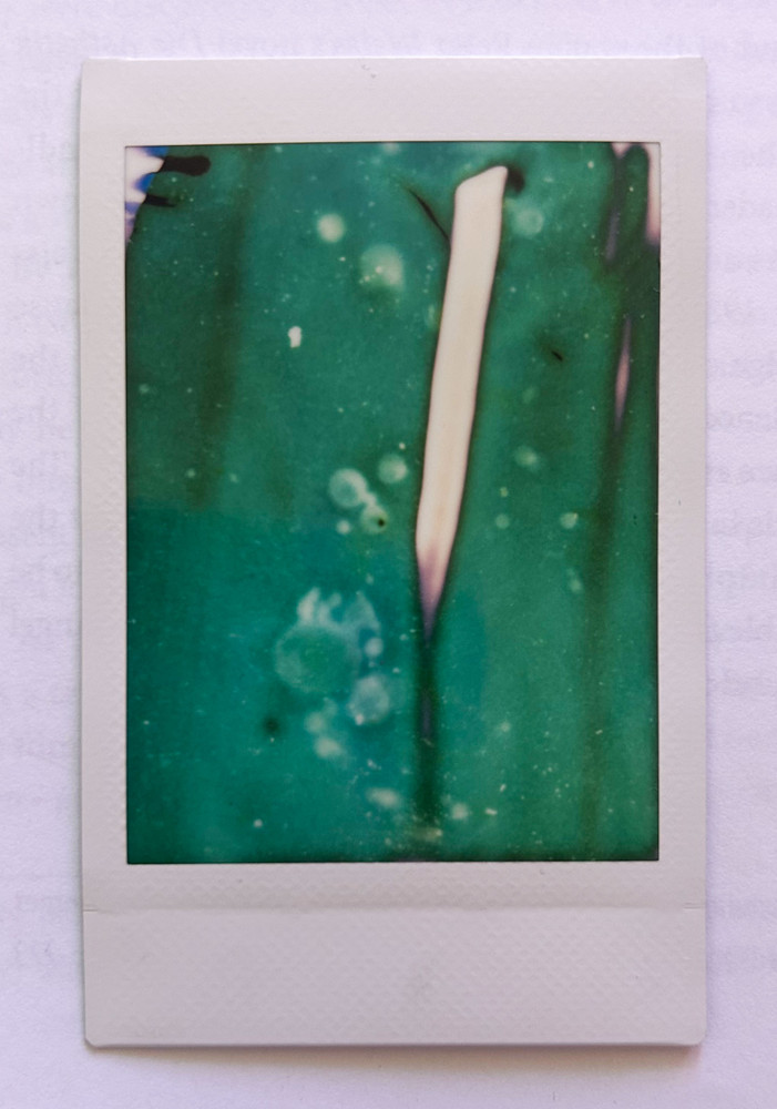 Serinah Williams - Truth | LensCulture