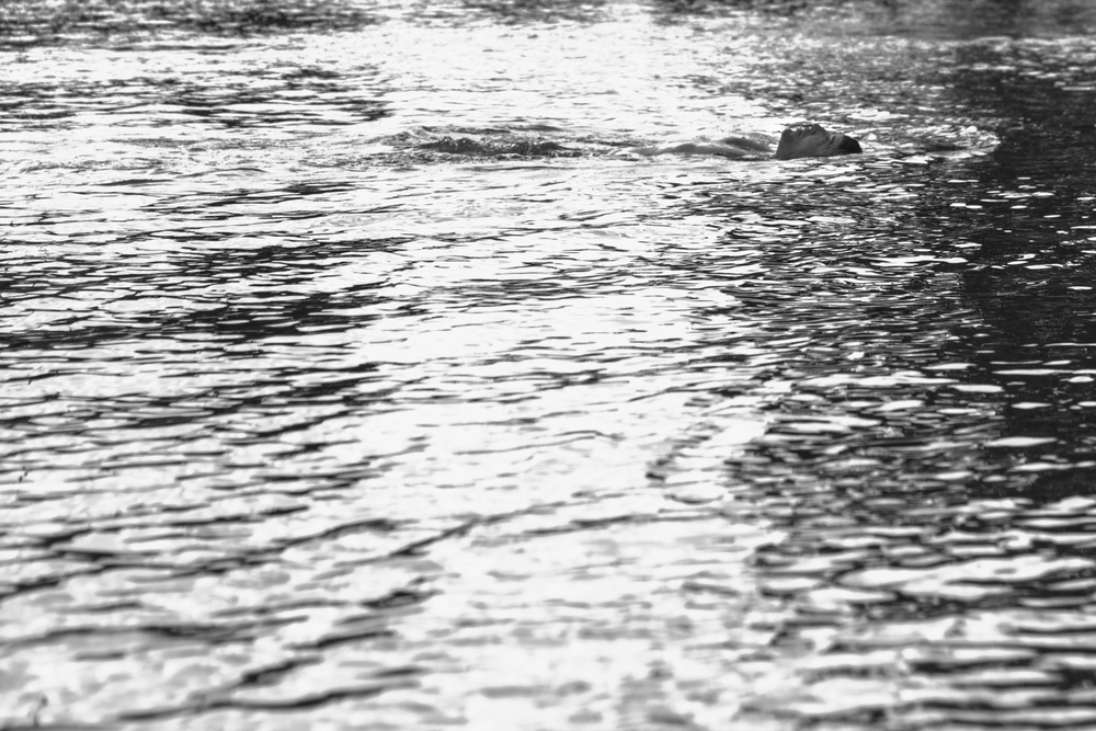 angela cornish - Reality Bites | LensCulture