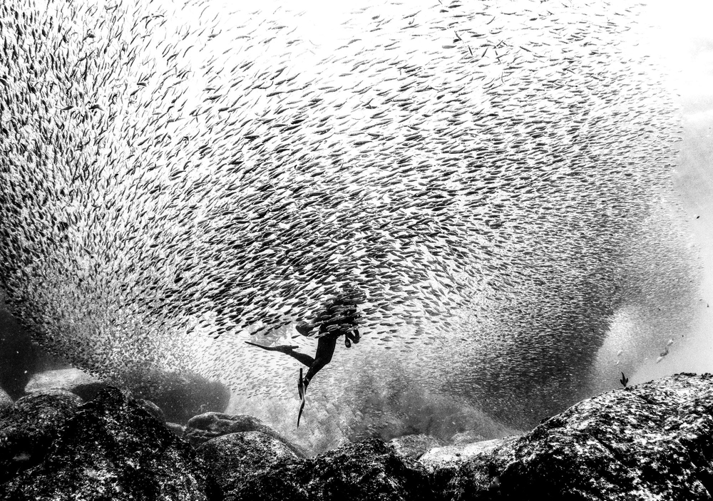 Alex Double - Submission | LensCulture