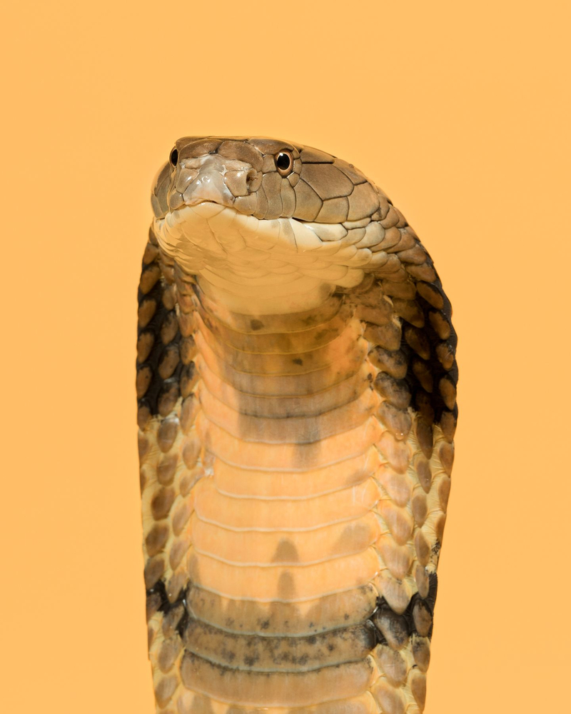 Zac Herr - Submission | LensCulture