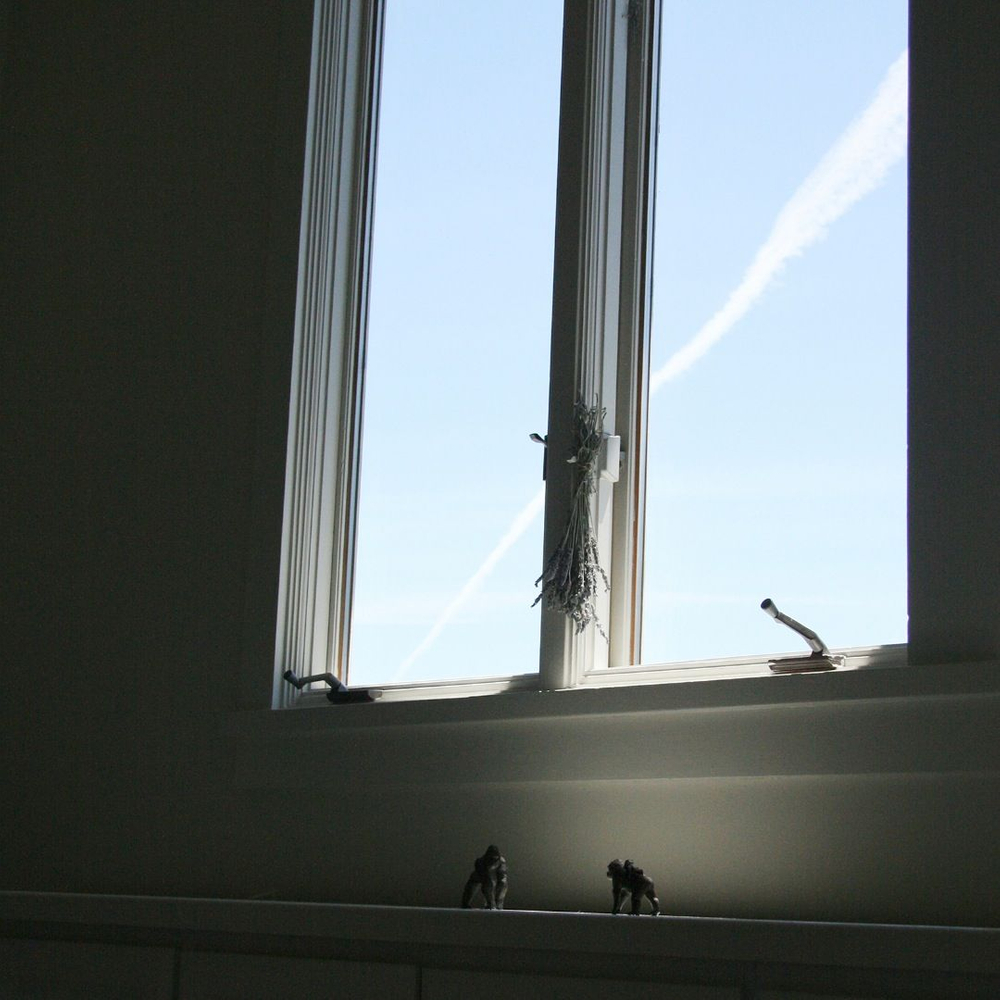 Doris Mitsch - Domestic Animals | LensCulture