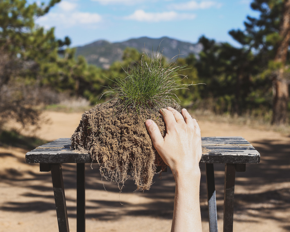 Ashley Allen - Biome | LensCulture