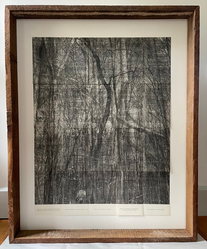 David Schulz - The Library, Redux | LensCulture