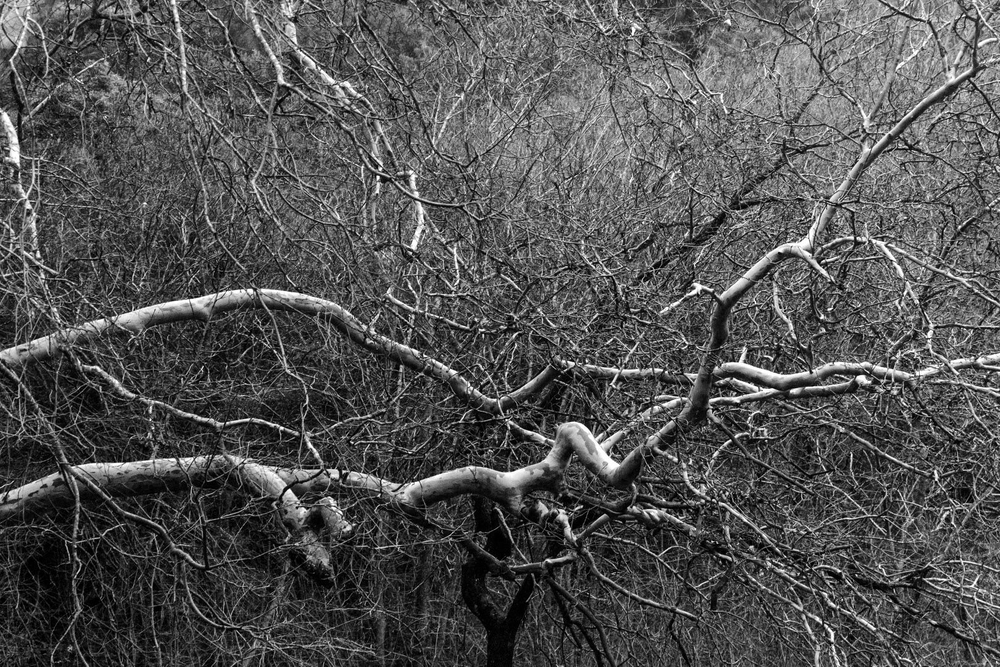 Graham Houghton - People, Places and Things | LensCulture