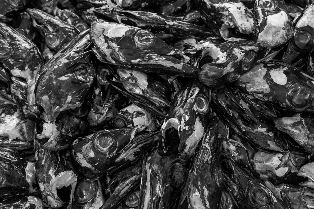 Markus Hartung | Black & White Photography Awards 2019 Entry