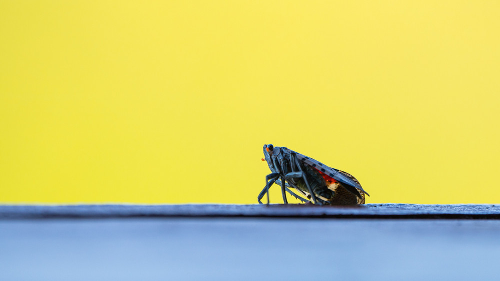 Yuwen Sun - Untitled | LensCulture