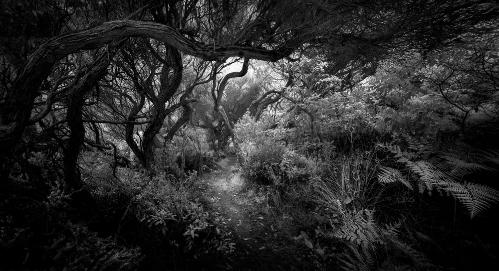 Timothy Moon - Tales by Light | LensCulture