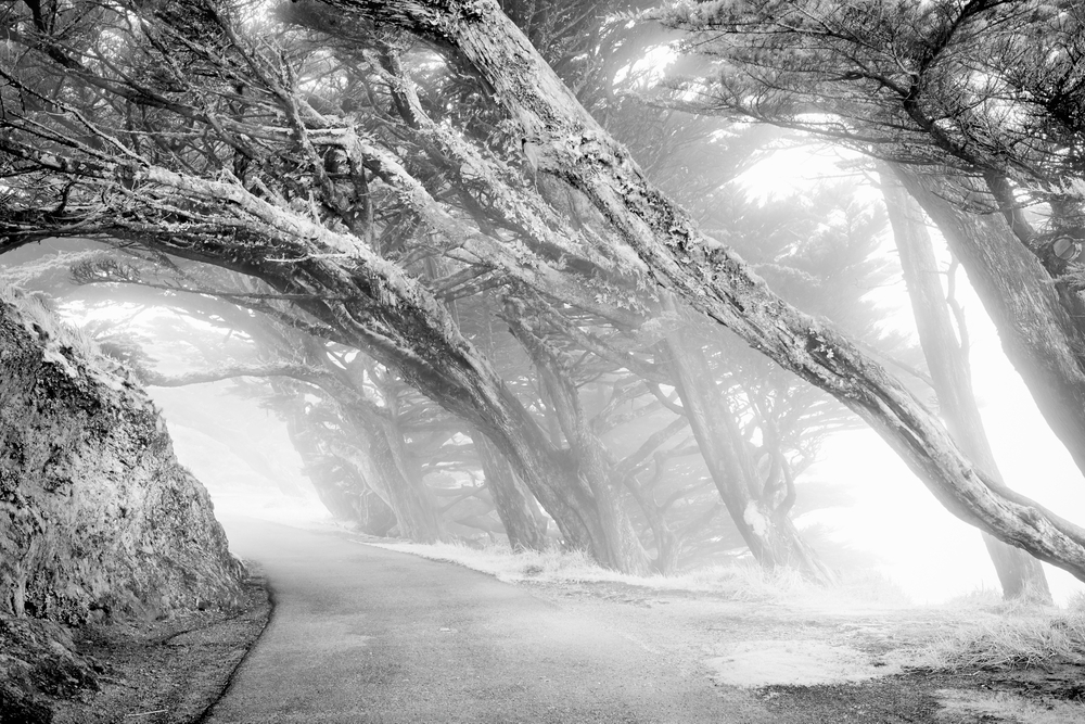 YVES MARCOUX - Submission | LensCulture