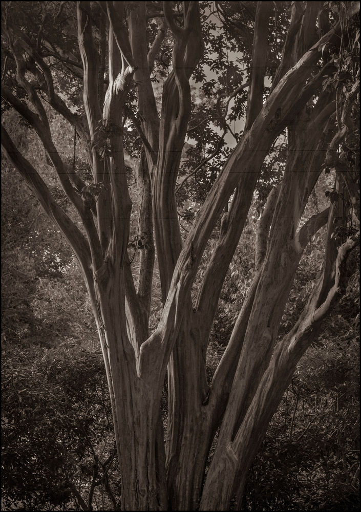 Roger Beck - Untitled | LensCulture