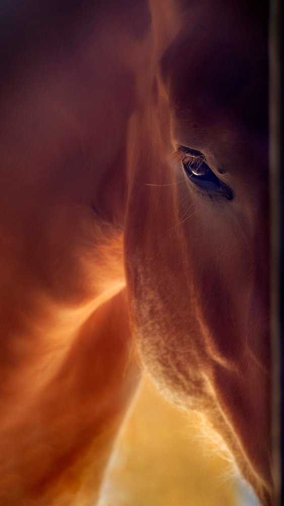 Kevan Garecki - Random Views | LensCulture