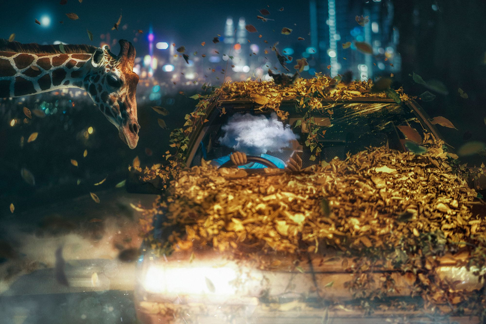 Yong Lin Tan - Step into the Surreal World of YONGL | LensCulture