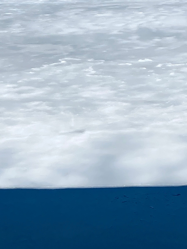 Steven Parisi - Gentile - FOTOGRAPHIA | LensCulture