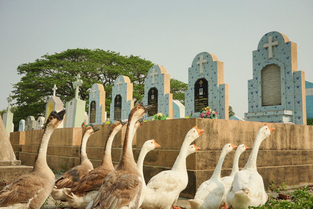 Lerm Chalermporn - Time of everything. | LensCulture