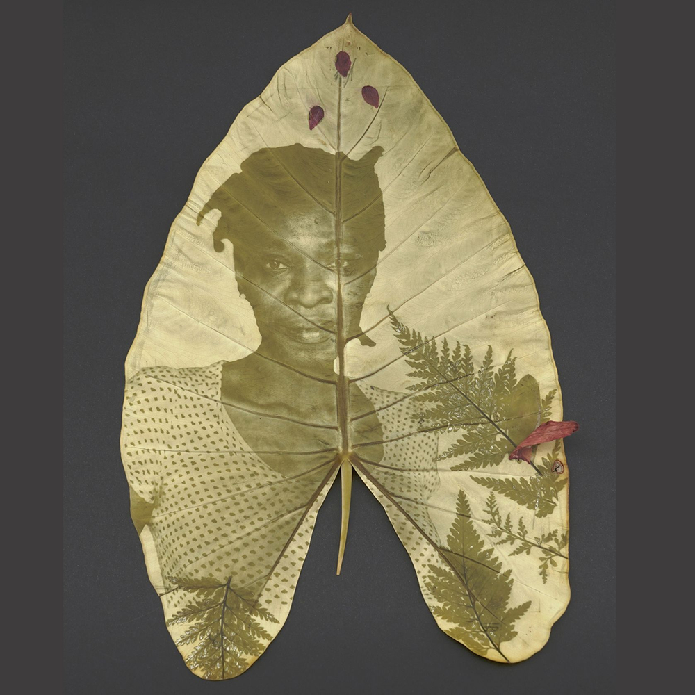 Dóra Papp - Drifted away | LensCulture