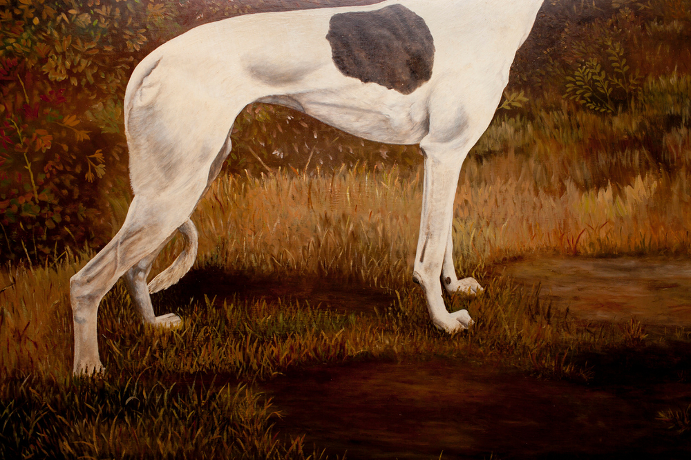 Renate Beense - all animals | LensCulture